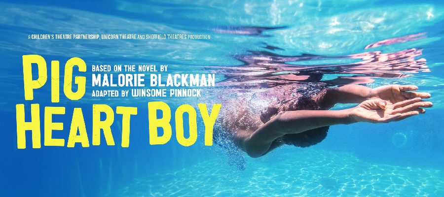 Show Details: Pig Heart Boy