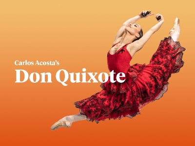 Show Details: BRB: Don Quixote